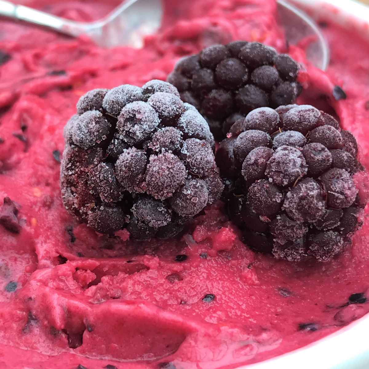Healthy Berry Nice Cream - Cinnamon and Kale