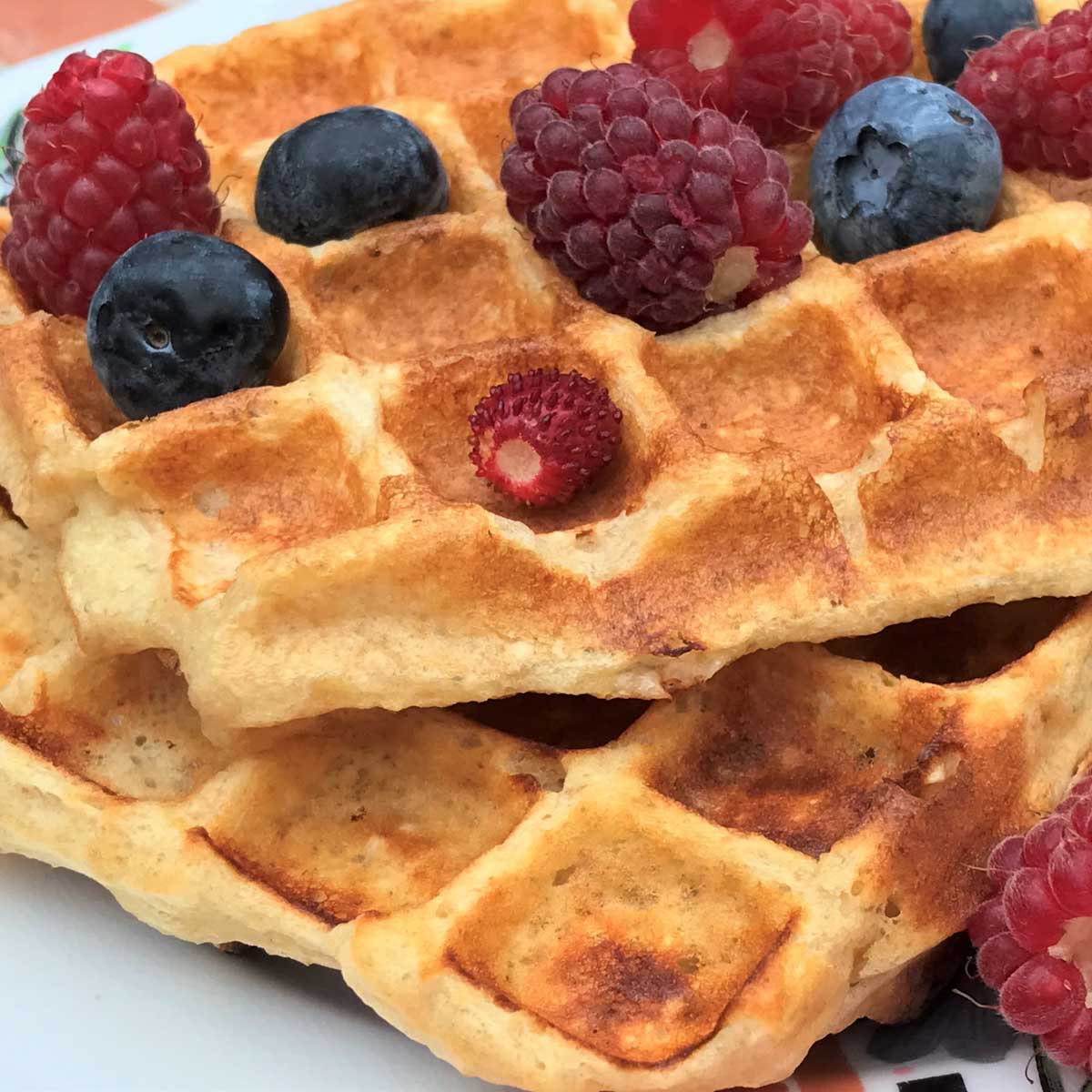 Healthy Protein Waffles (no protein powder!) - Cinnamon and Kale