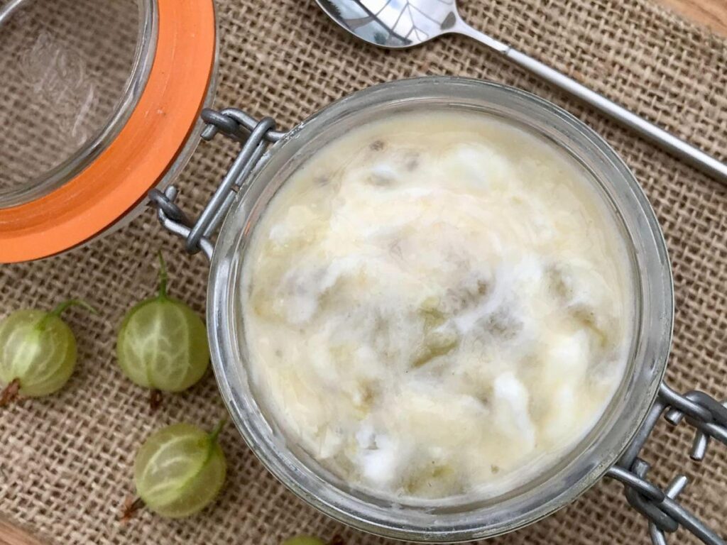 Gooseberry Fool with Custard - Cinnamon and Kale
