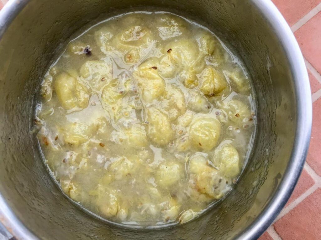 Gooseberry Fool with Custard - Cinnamon and Kale