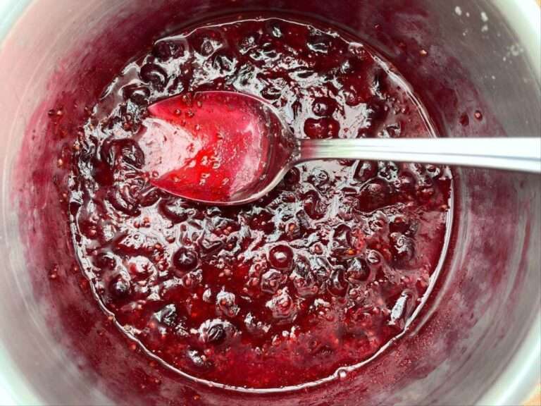 Blackcurrant Fool - Cinnamon and Kale